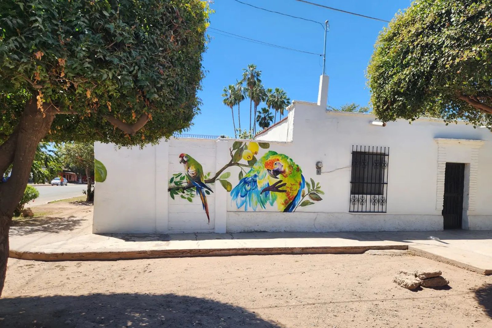 A Peek into the Murals of Cócorit, Sonora — Borderlandia