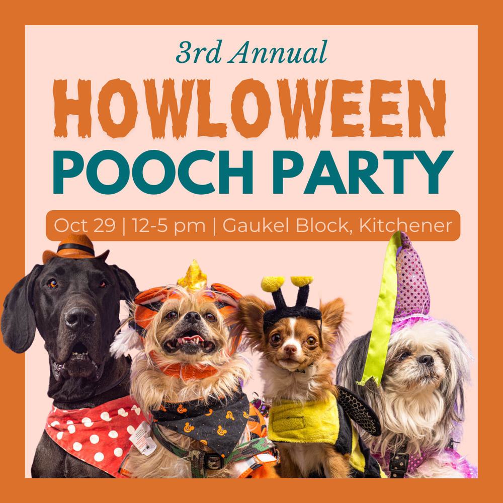Upcoming Events — Dog Friendly KW