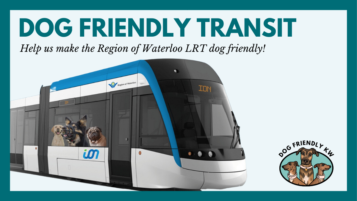 LRT Campaign — DOG FRIENDLY KW