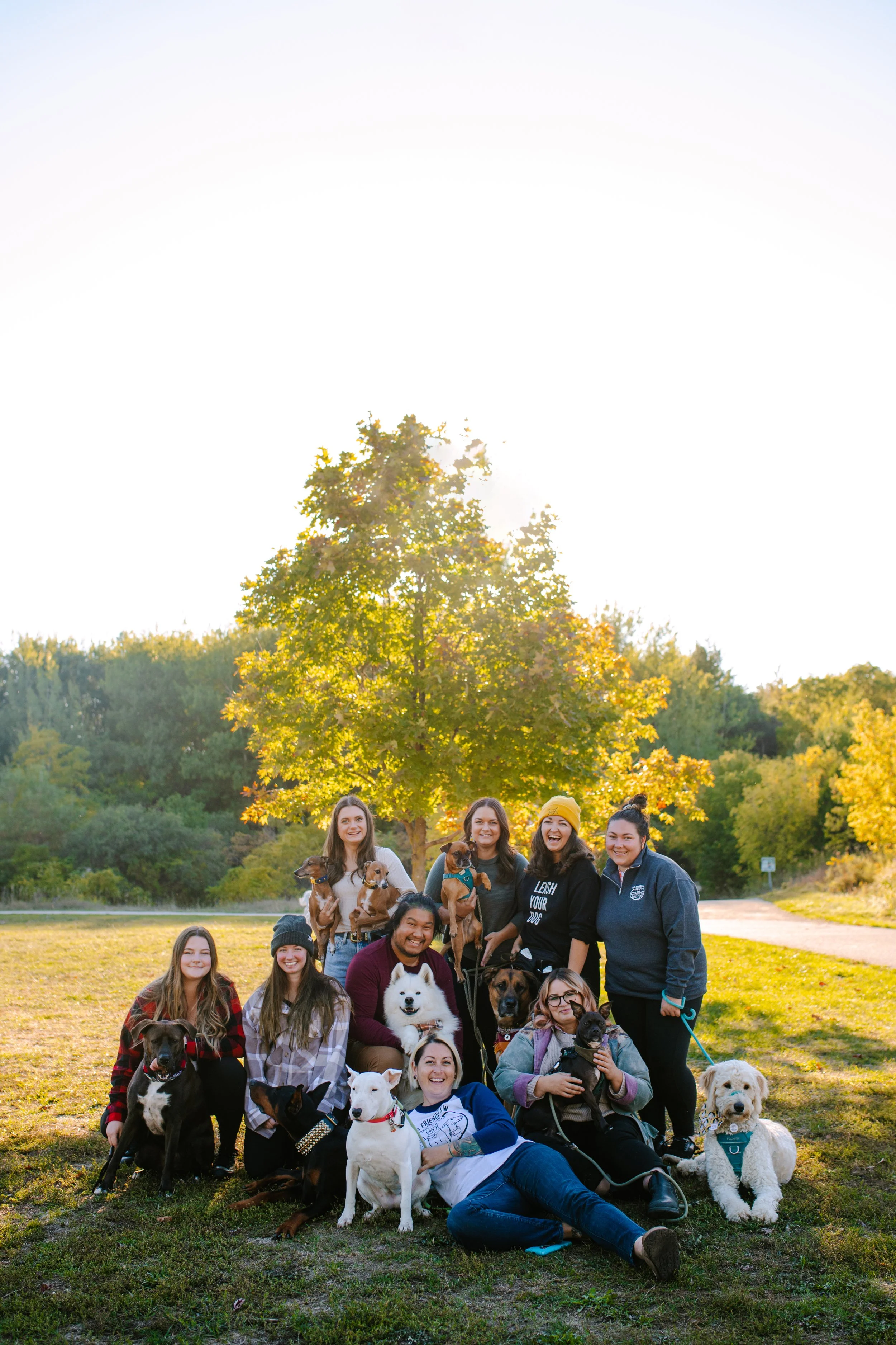 Dog Friendly KW: Sharing dog friendly businesses