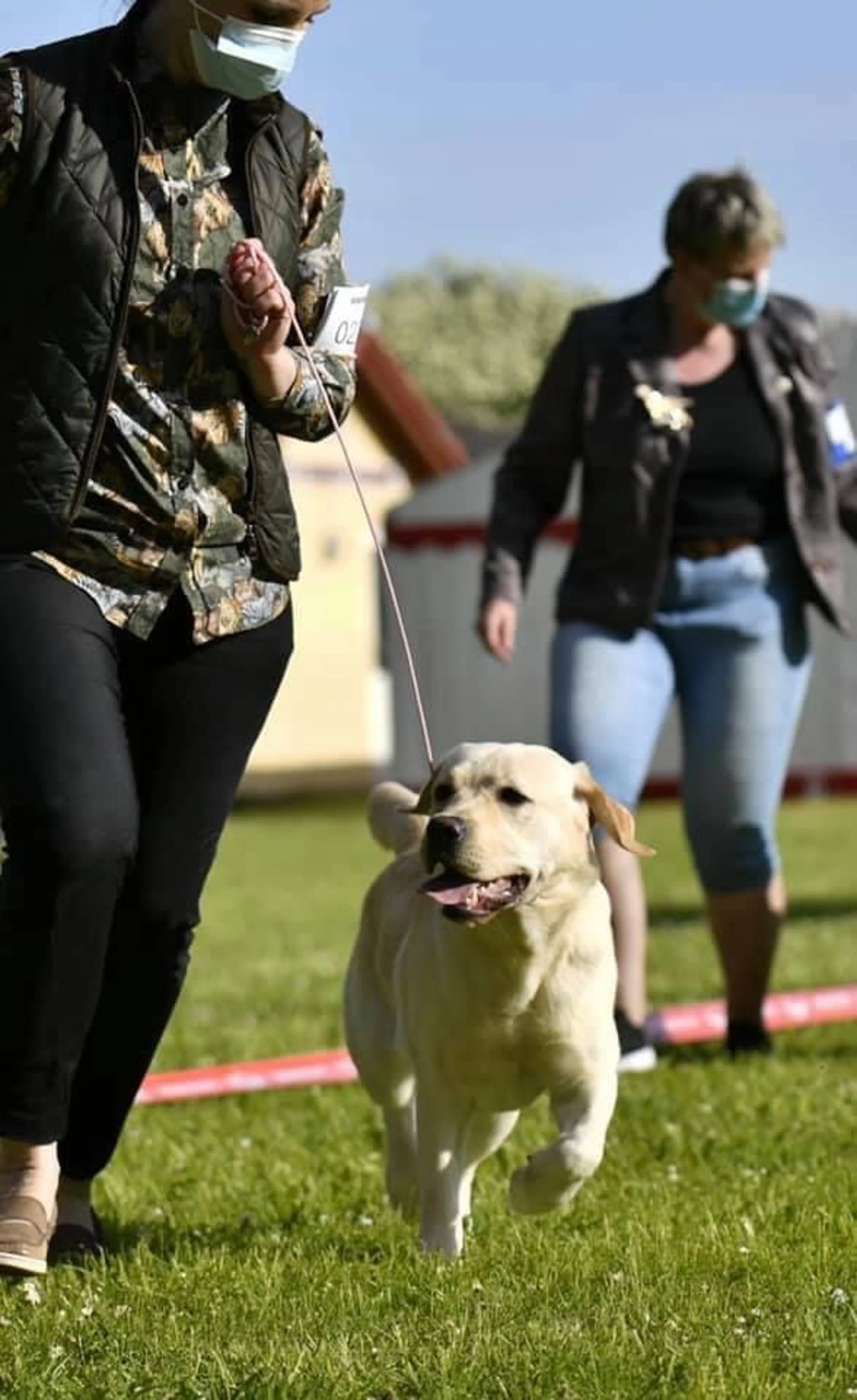 Hills'n Moor's Martha's Pink Port - "Dorit"