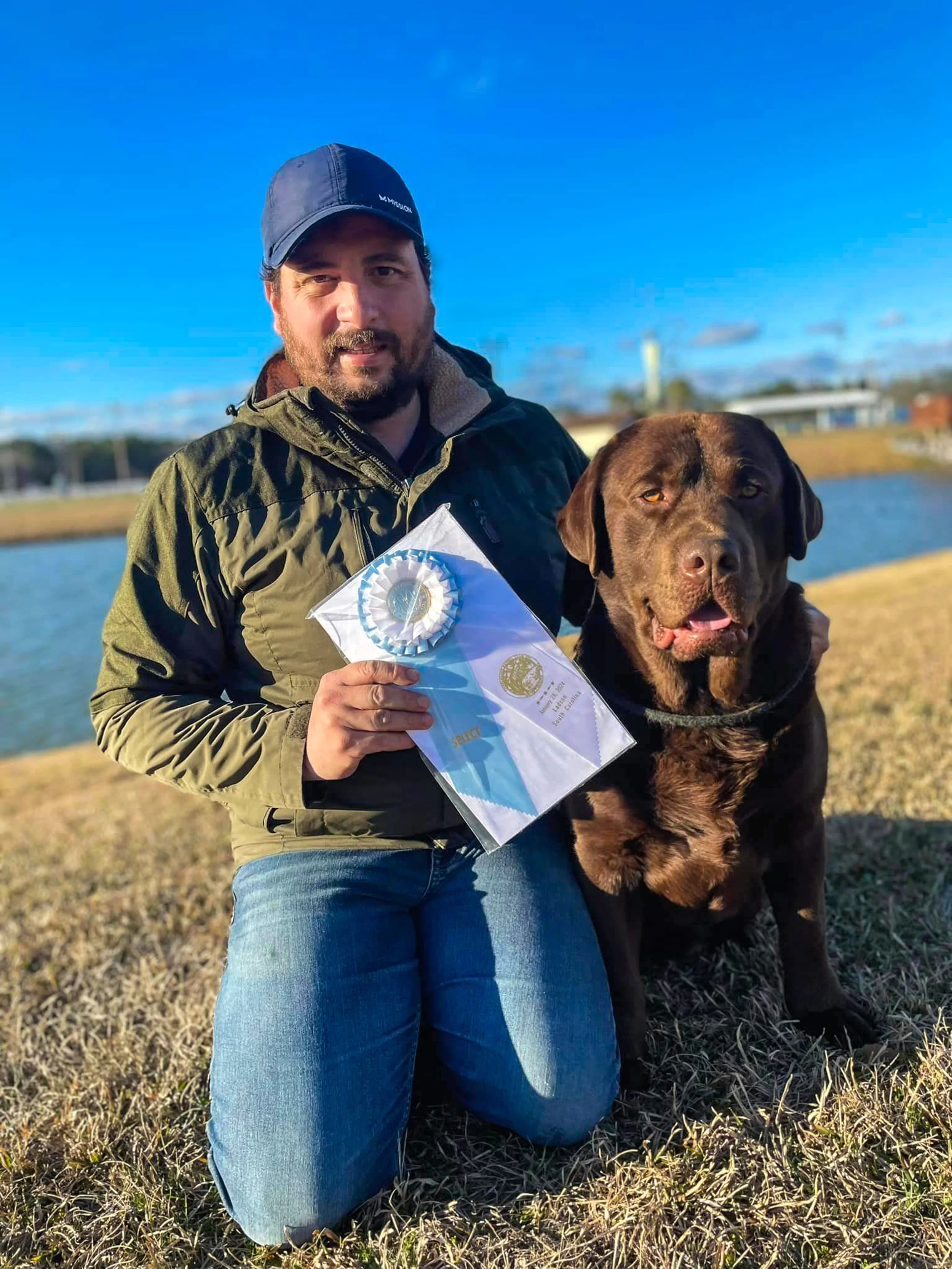 Gallivant Fool Me Once - Gallivant Chocolate Labrador Stud Dog