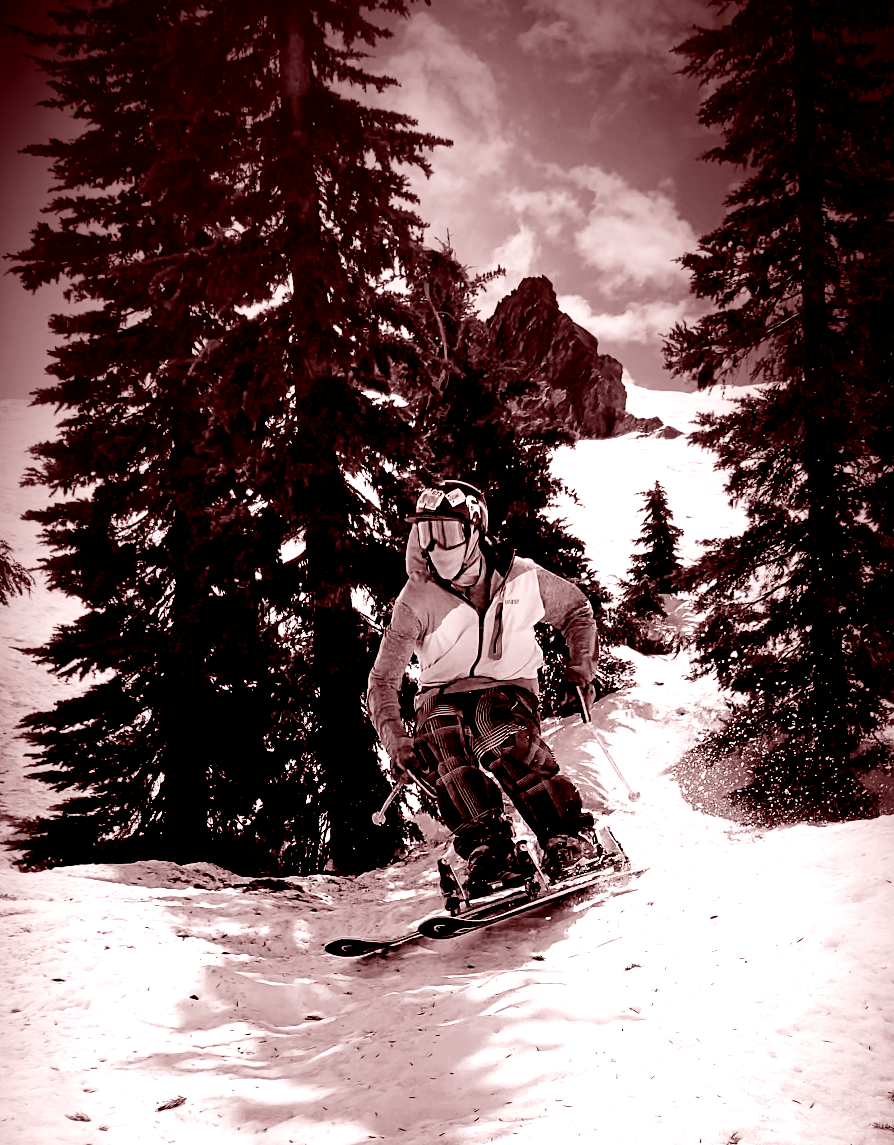 Next Level Platforms