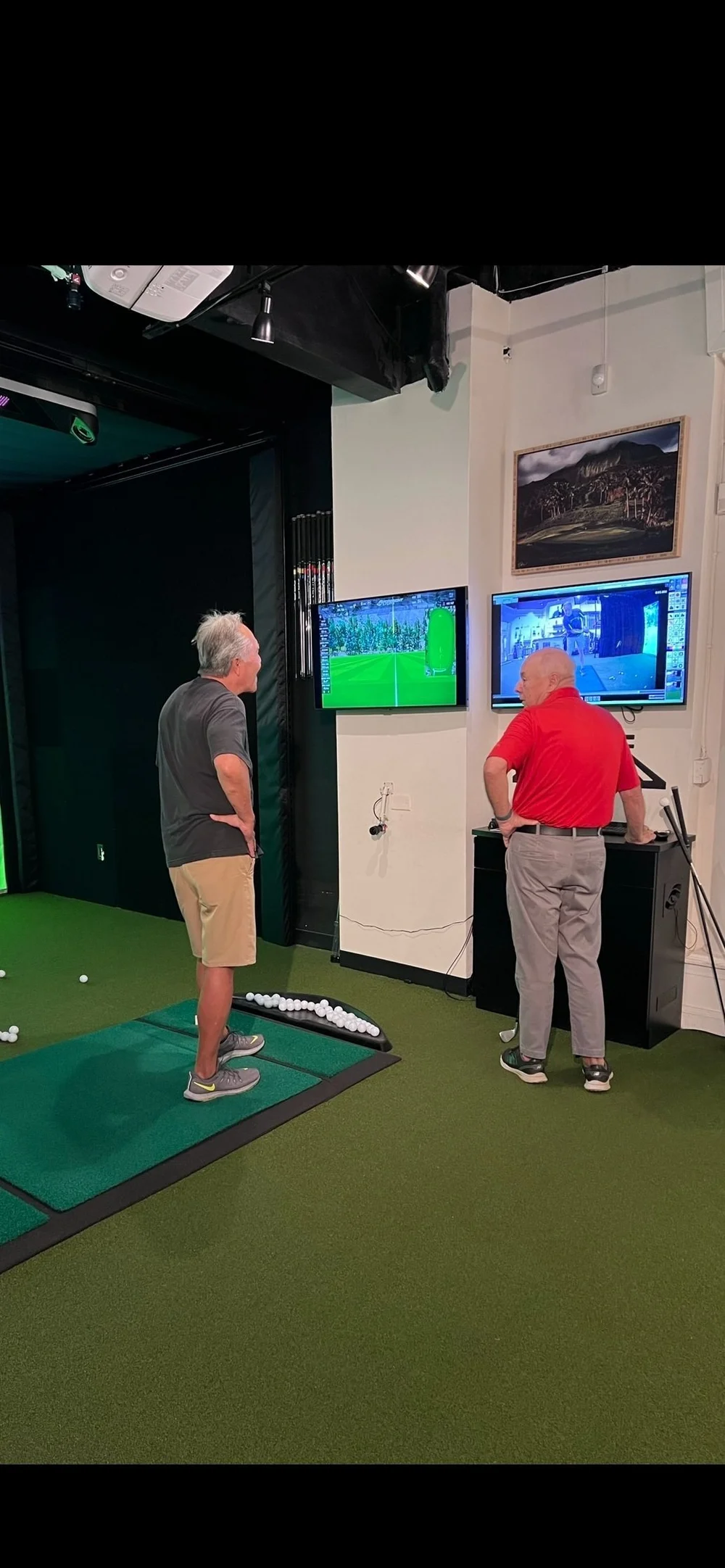 INSTRUCTION — The Golf Sim