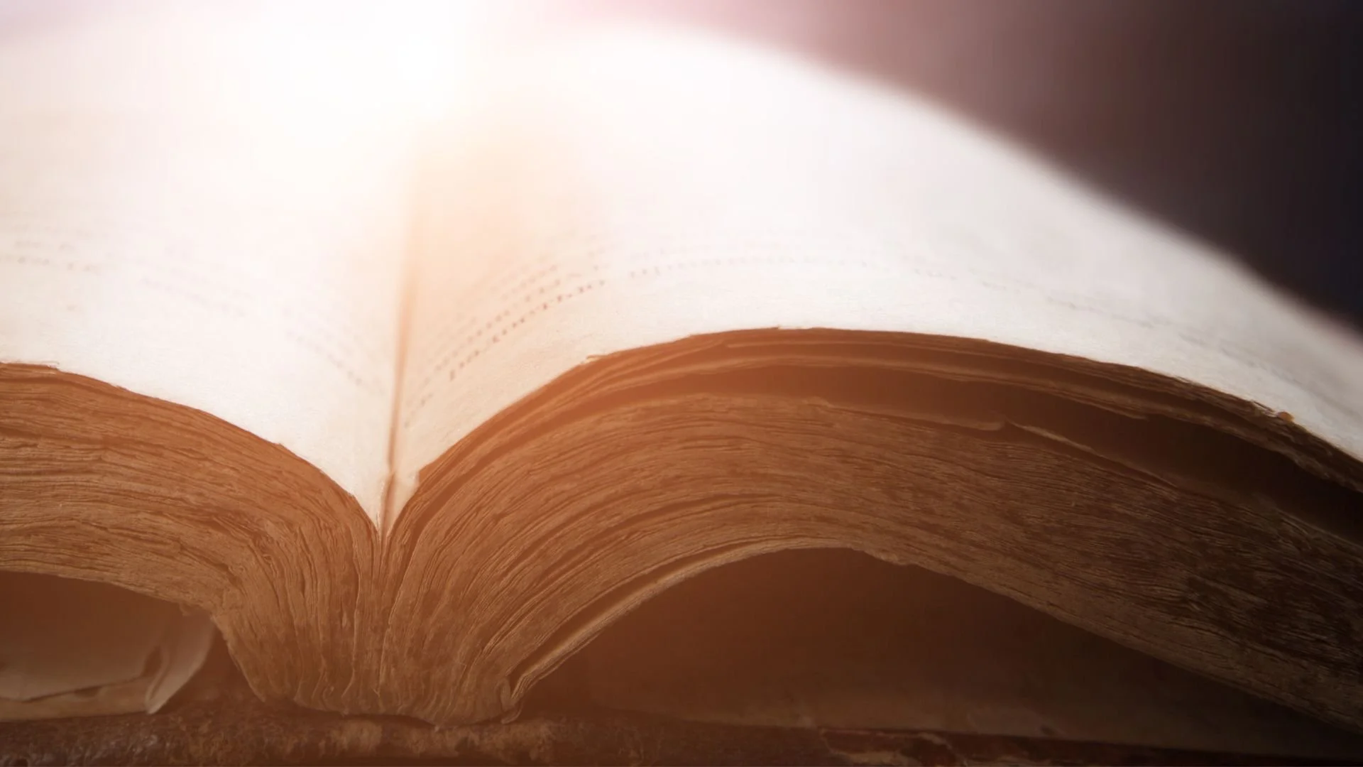 The General Association of Davidian Seventh-day Adventist (GADSDA)