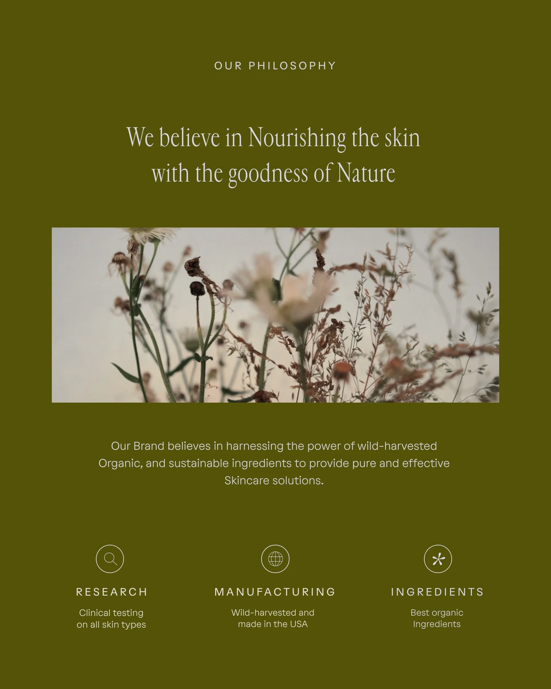 Portfolio-Wilde & Pure — Homegrwn Creative Studio | Branding, Shopify ...