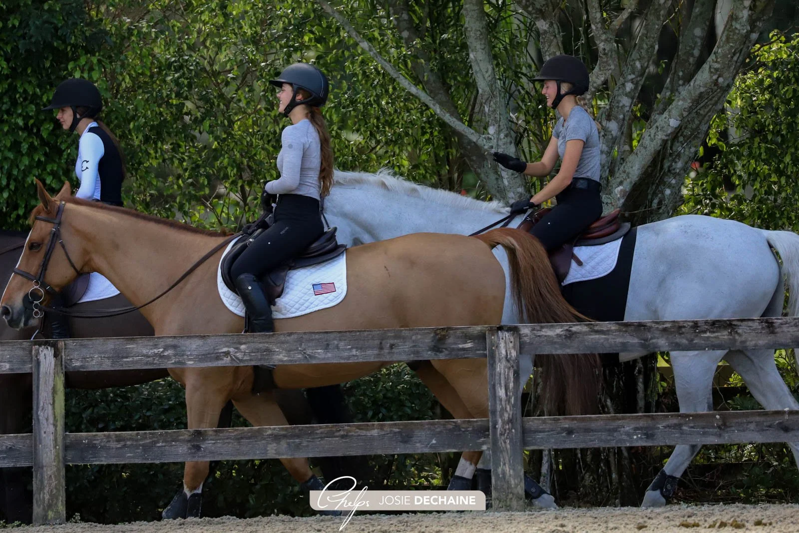 WEF Week 2 Newsletter — Beacon Hill Show Stables