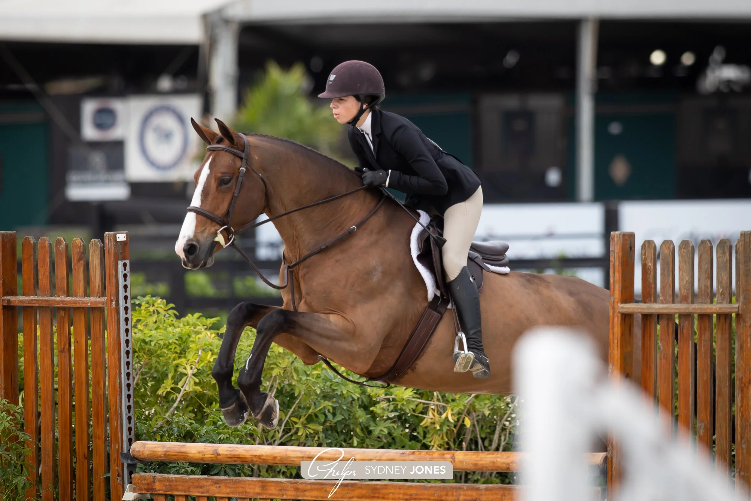 WEF Week 2 Newsletter — Beacon Hill Show Stables