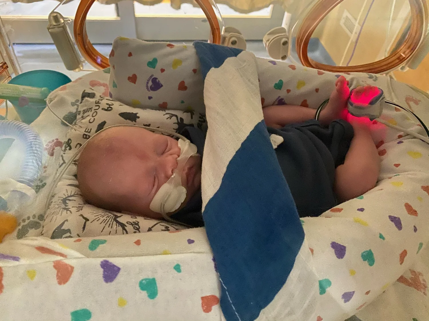 Education for Healthcare Professionals — Infant Feeding Care