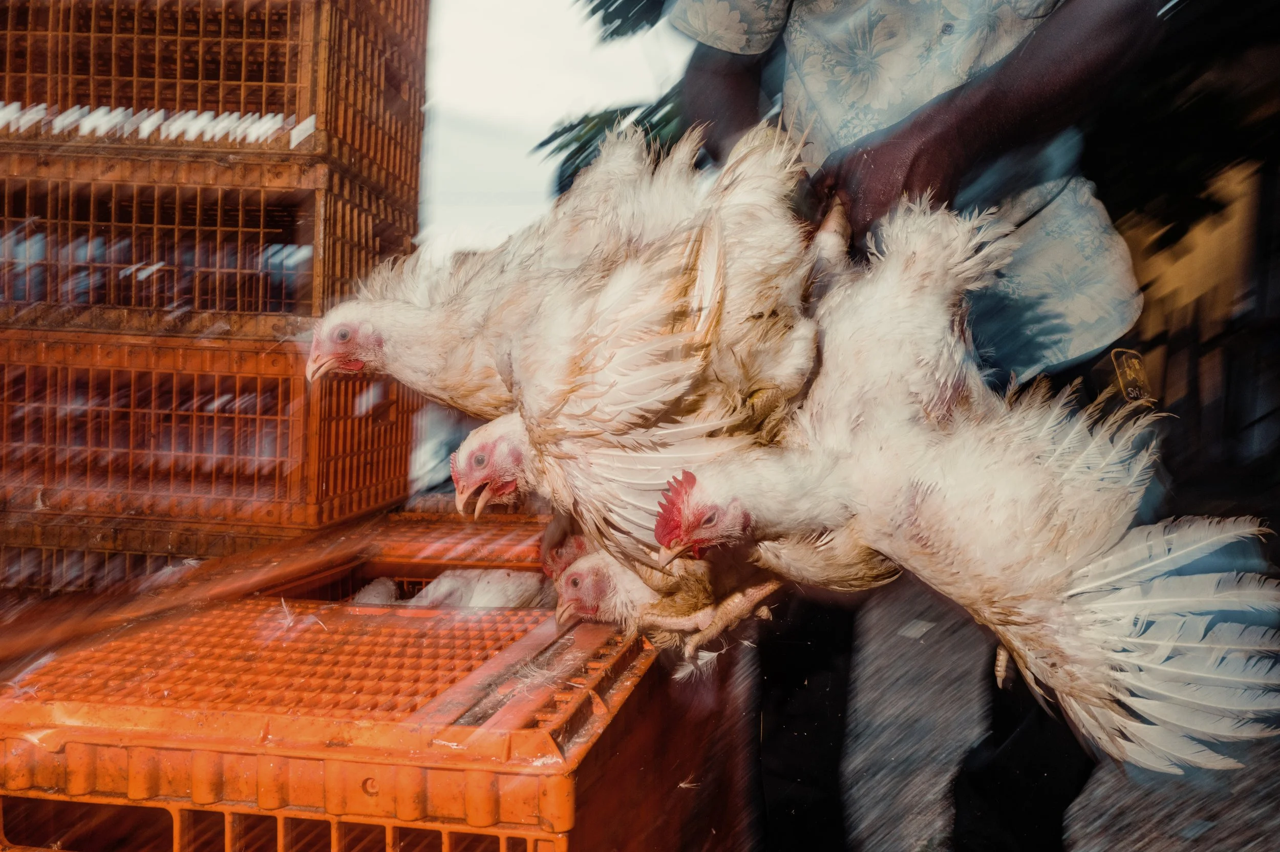 Chasing Light and Stories: Street Photography in Galle, Sri Lanka ...