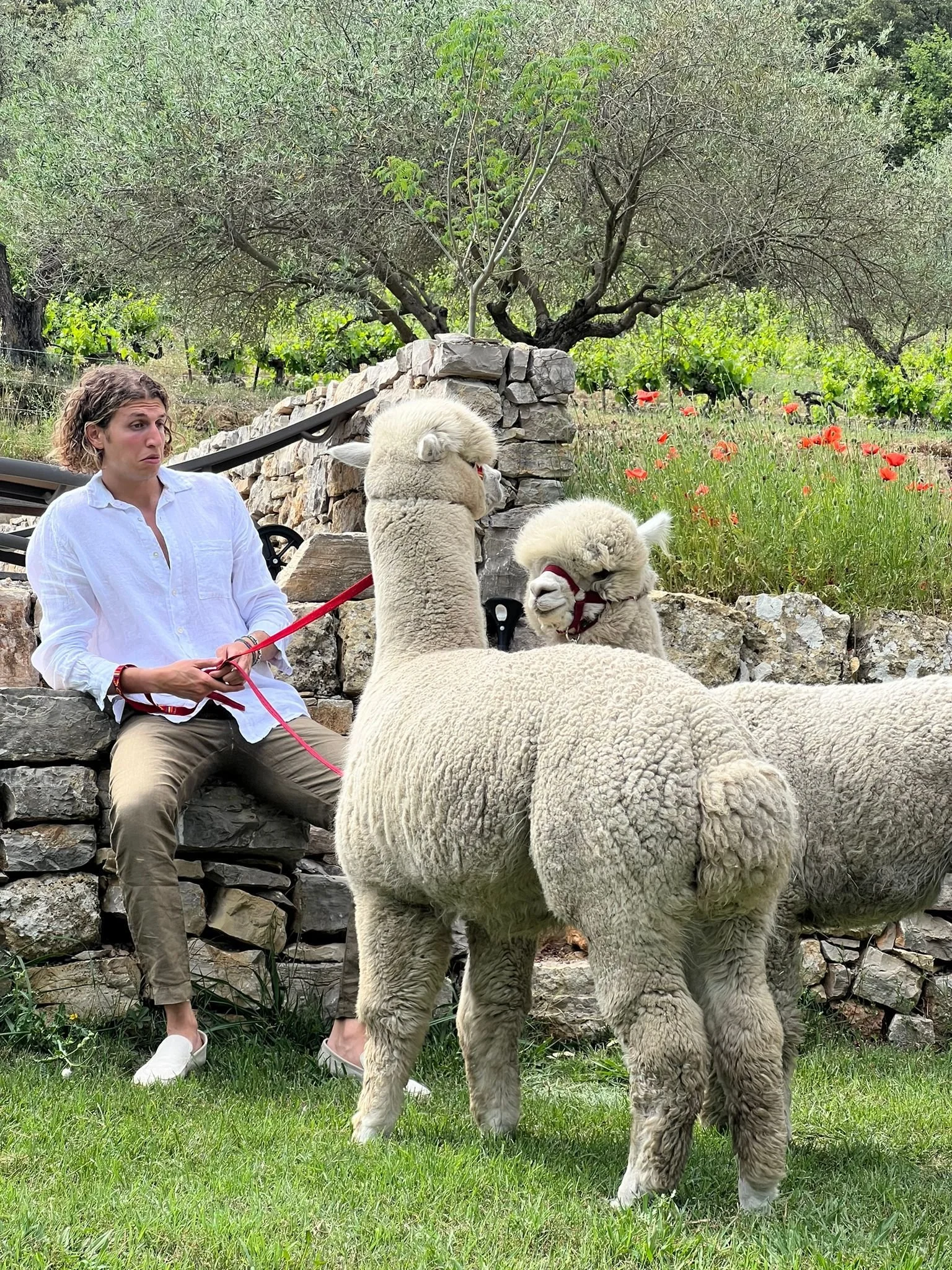 In conversation with Constance the Gstaad Guy and Colton — Collector Mag