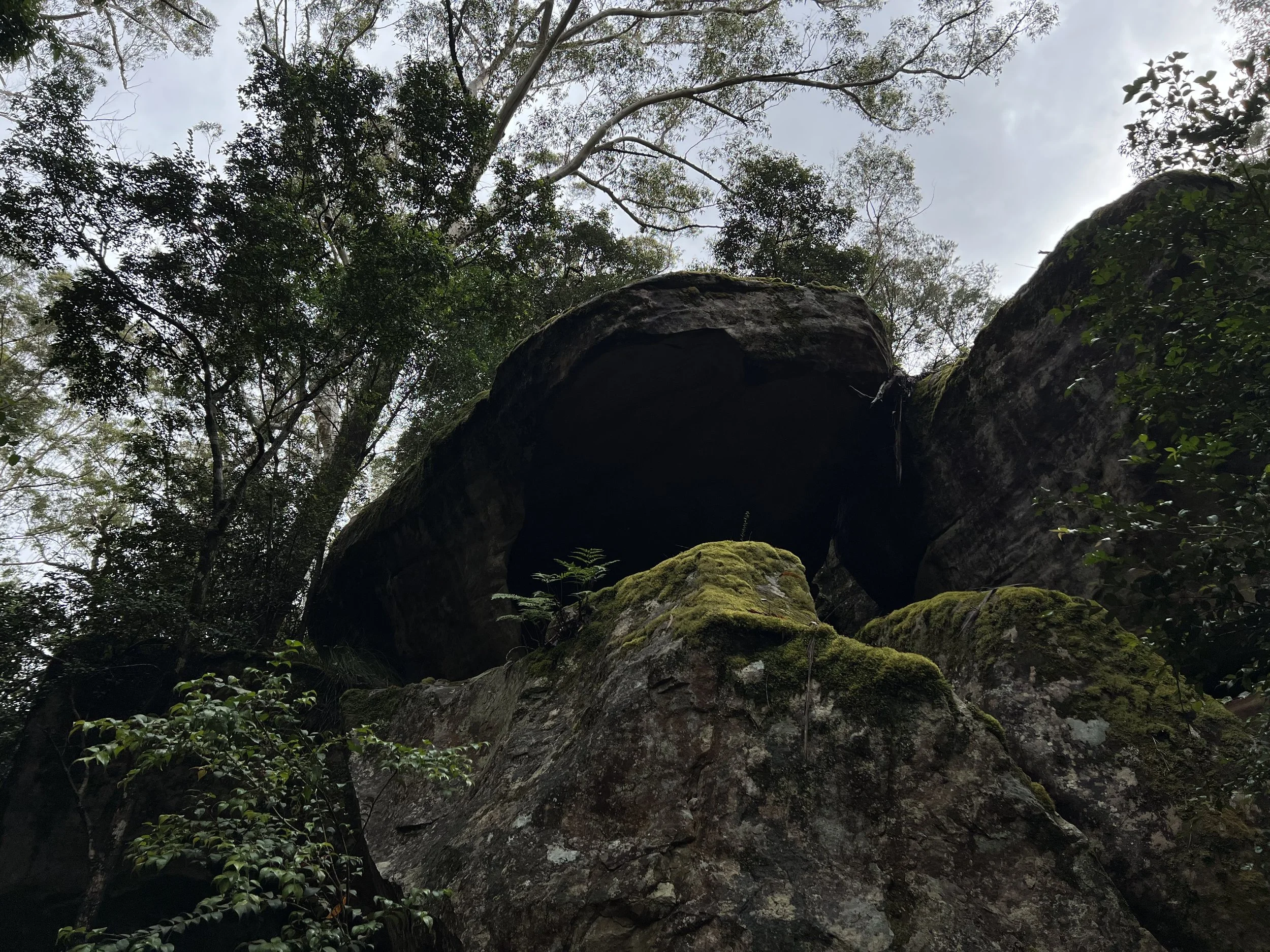 RAA Member Content Area — Regional Architecture Association