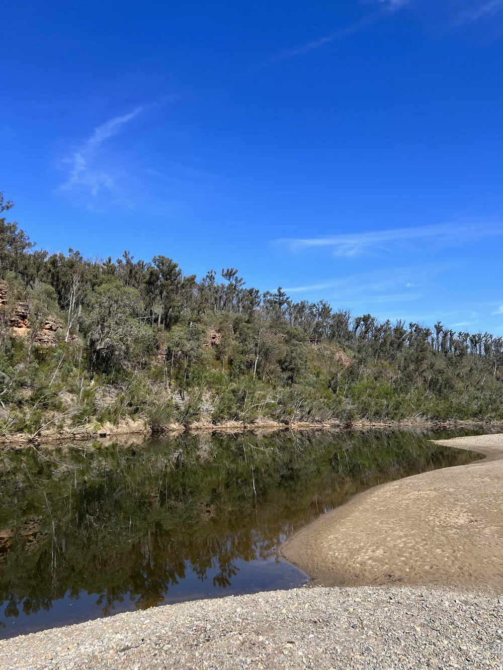 Beginnings Landing Page — Regional Architecture Association