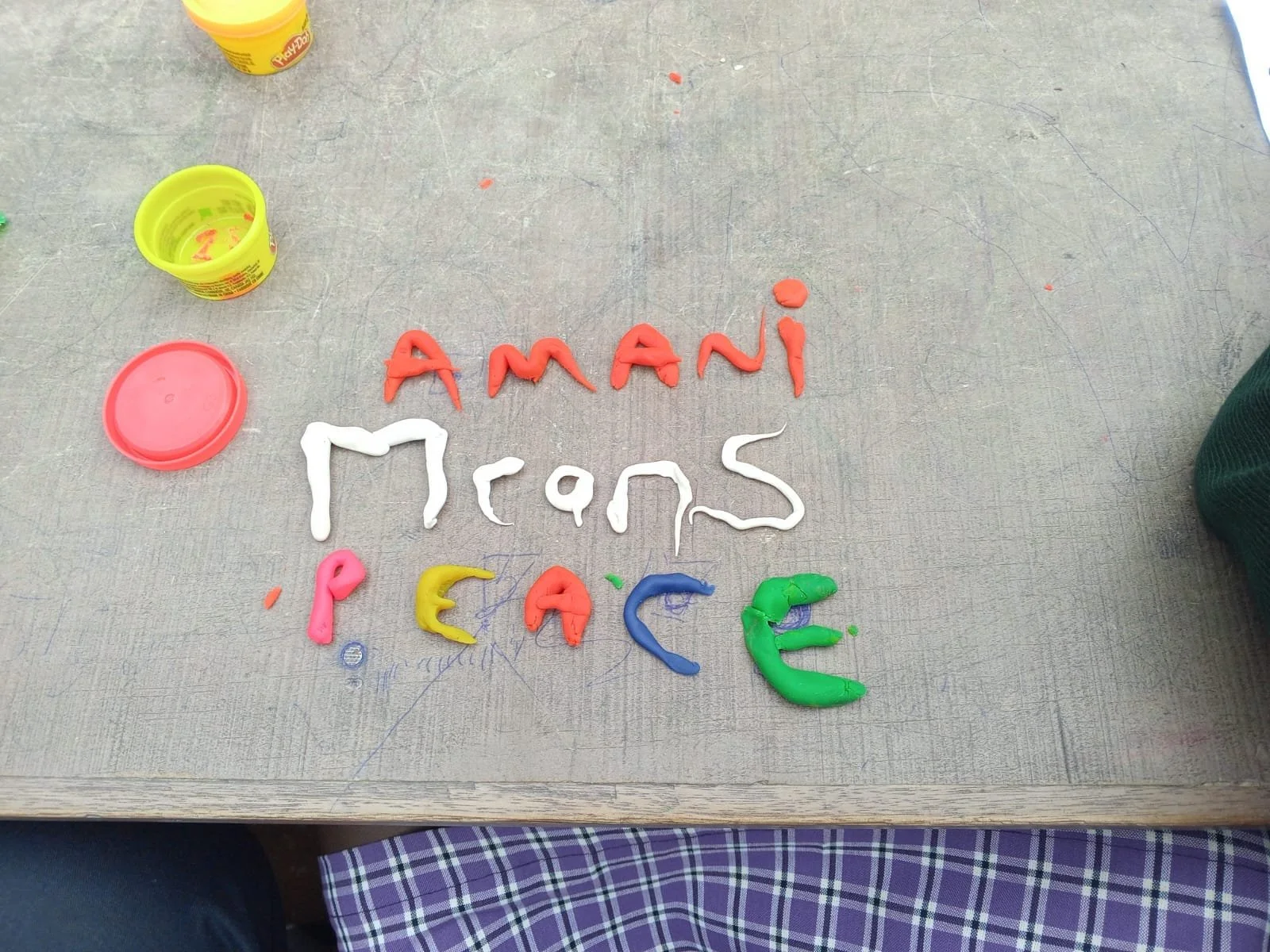 AMANI COMPLEX INTERNATIONAL