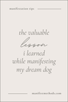 The Valuable Lesson I Learned While Manifesting My Dream Dog — Manifest ...
