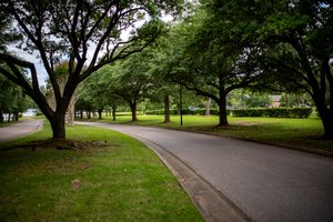 Canebrake Community