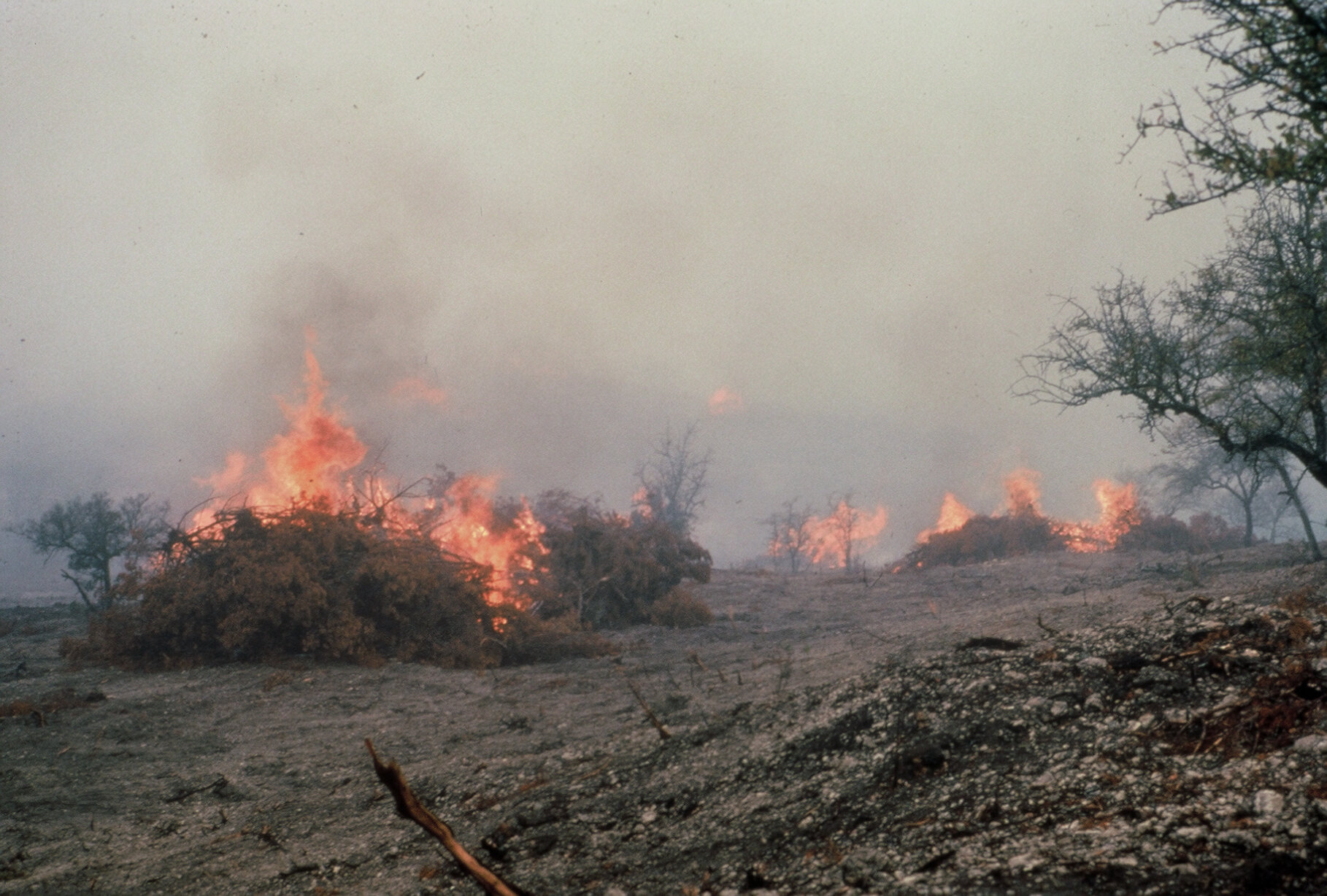 Our Story — Selah, Bamberger Ranch Preserve