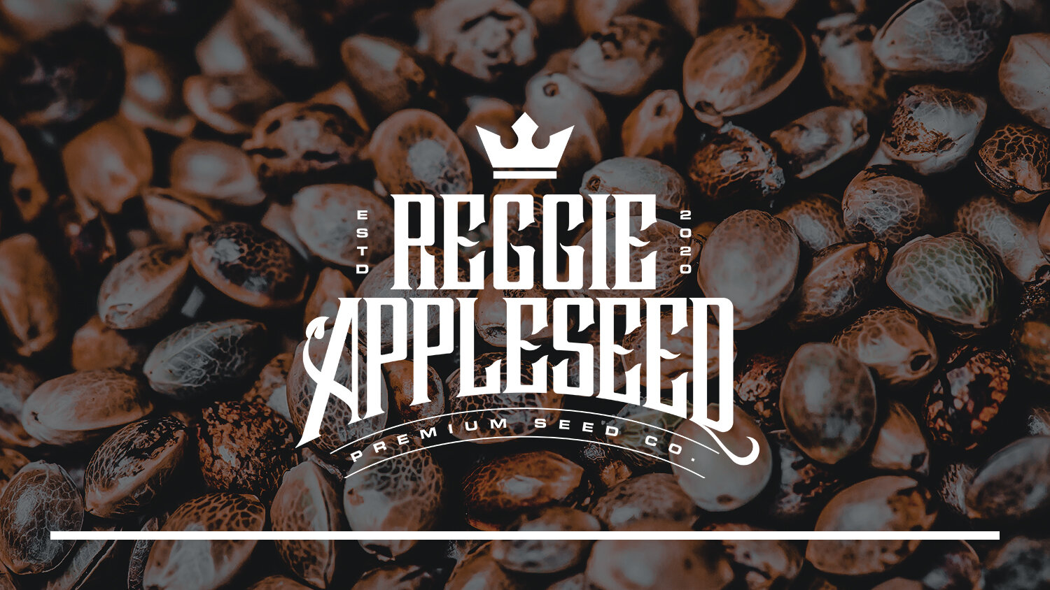 Redbird Creative Studios