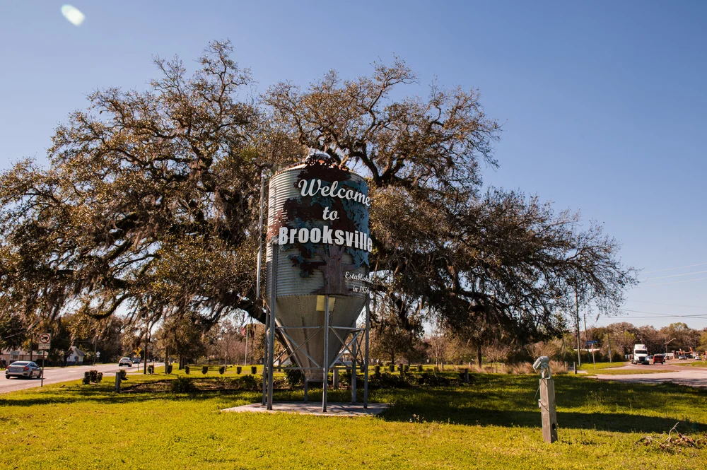 Small Business Supporter — Brooksville Main Street