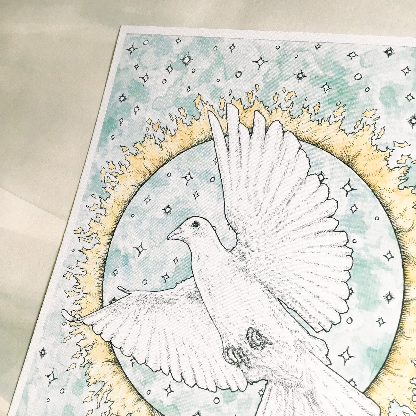 Descending Dove Outline