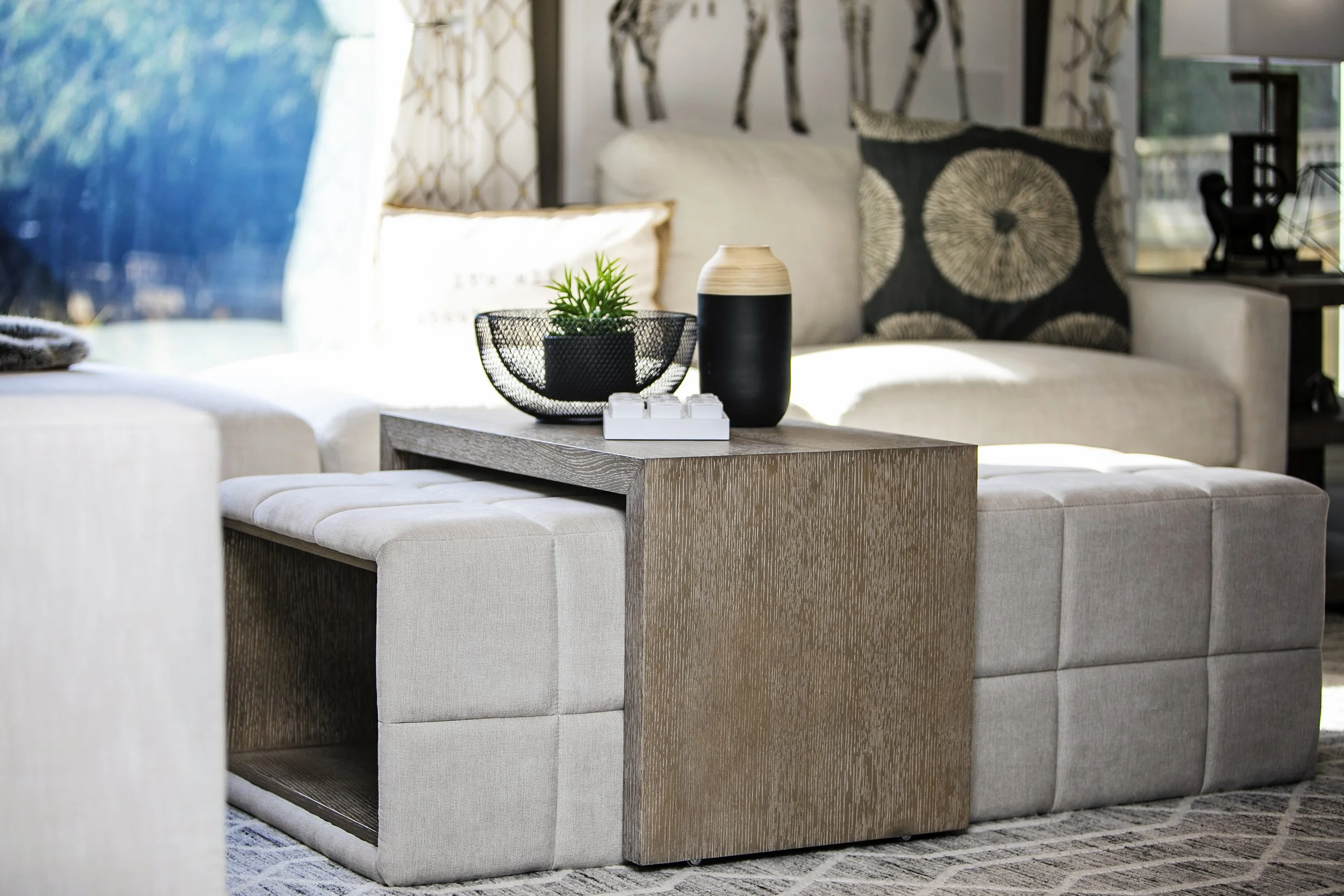 LIVINGROOMS — Lakeshore Designs