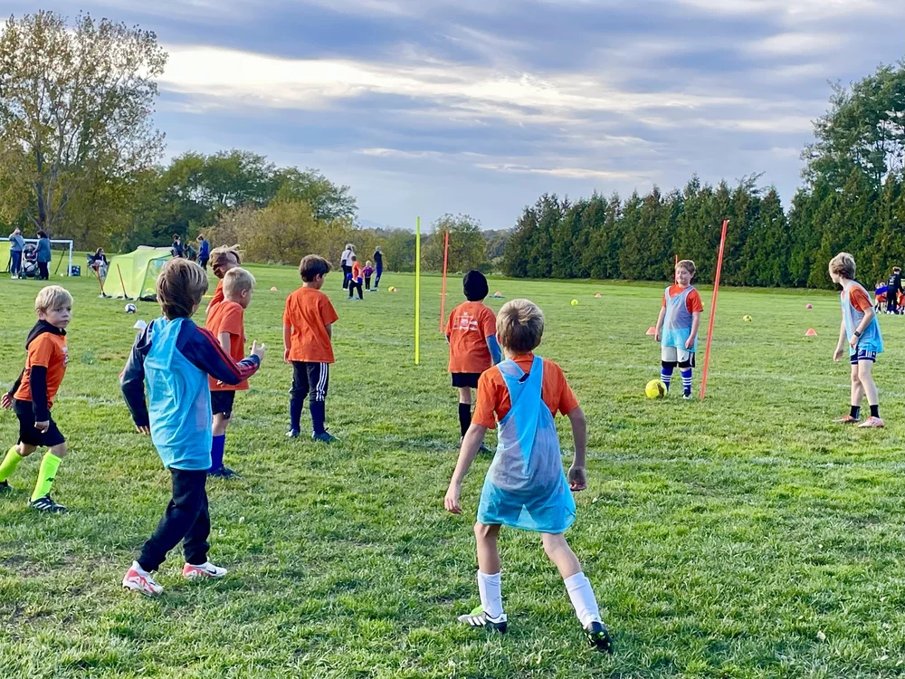 Fall Programs | Far Post Soccer Club