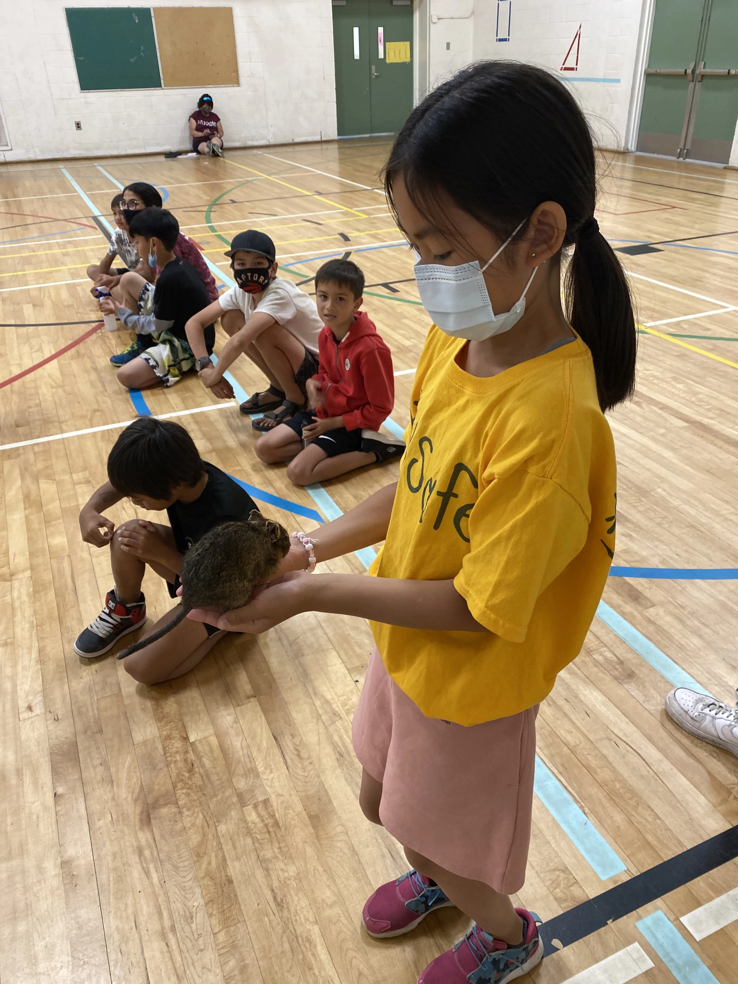 KidSafe Project Society