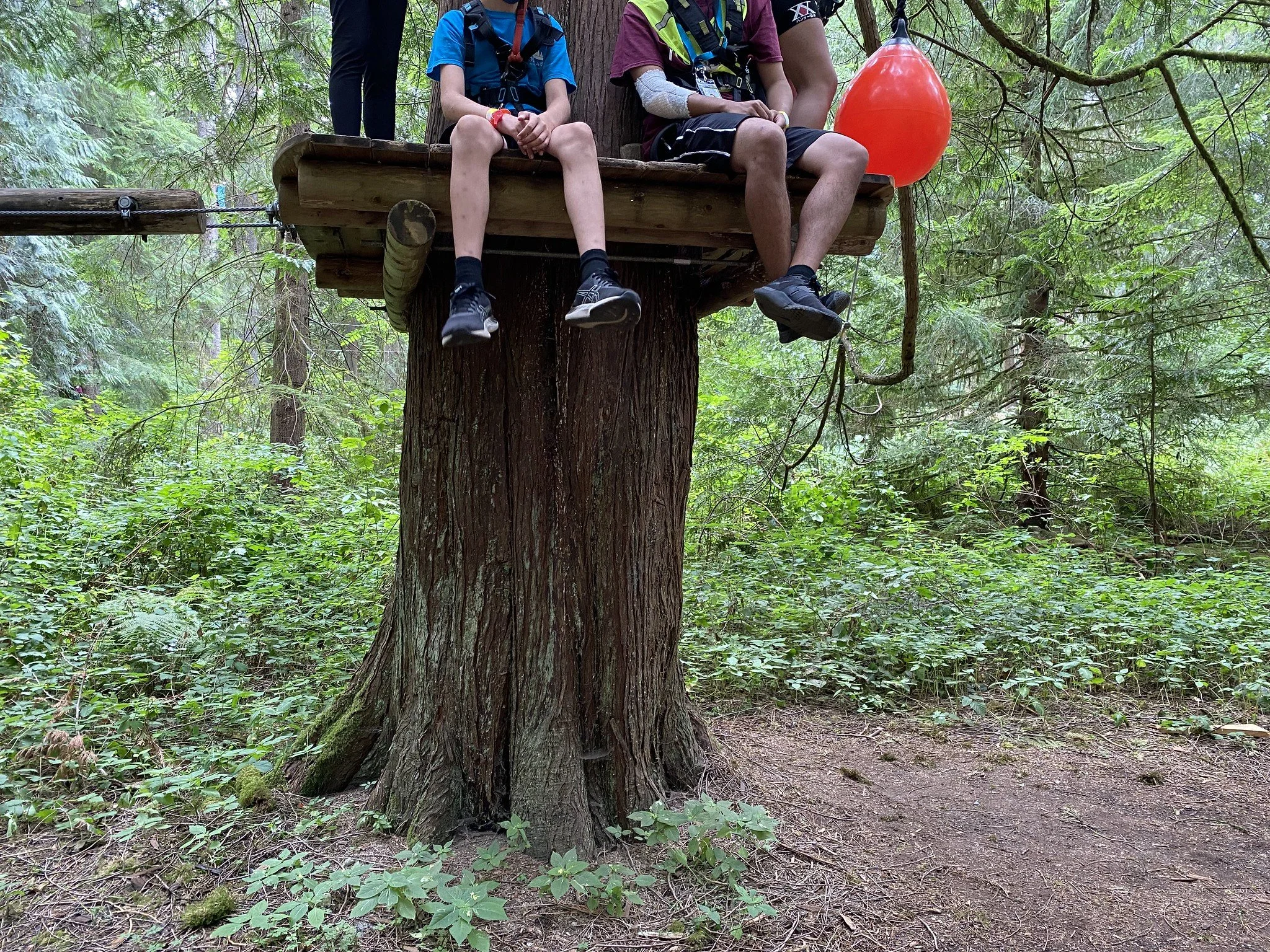 Programs — KidSafe Project Society