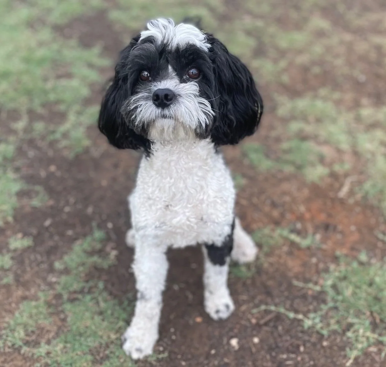 Meet the Team — Laura Lee Home