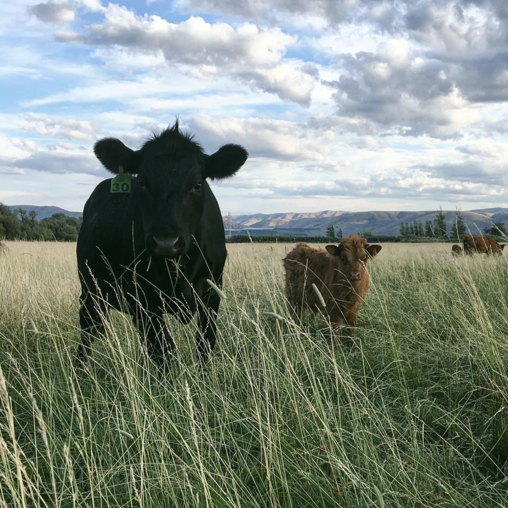 Custom Meats — Green Bow Farm