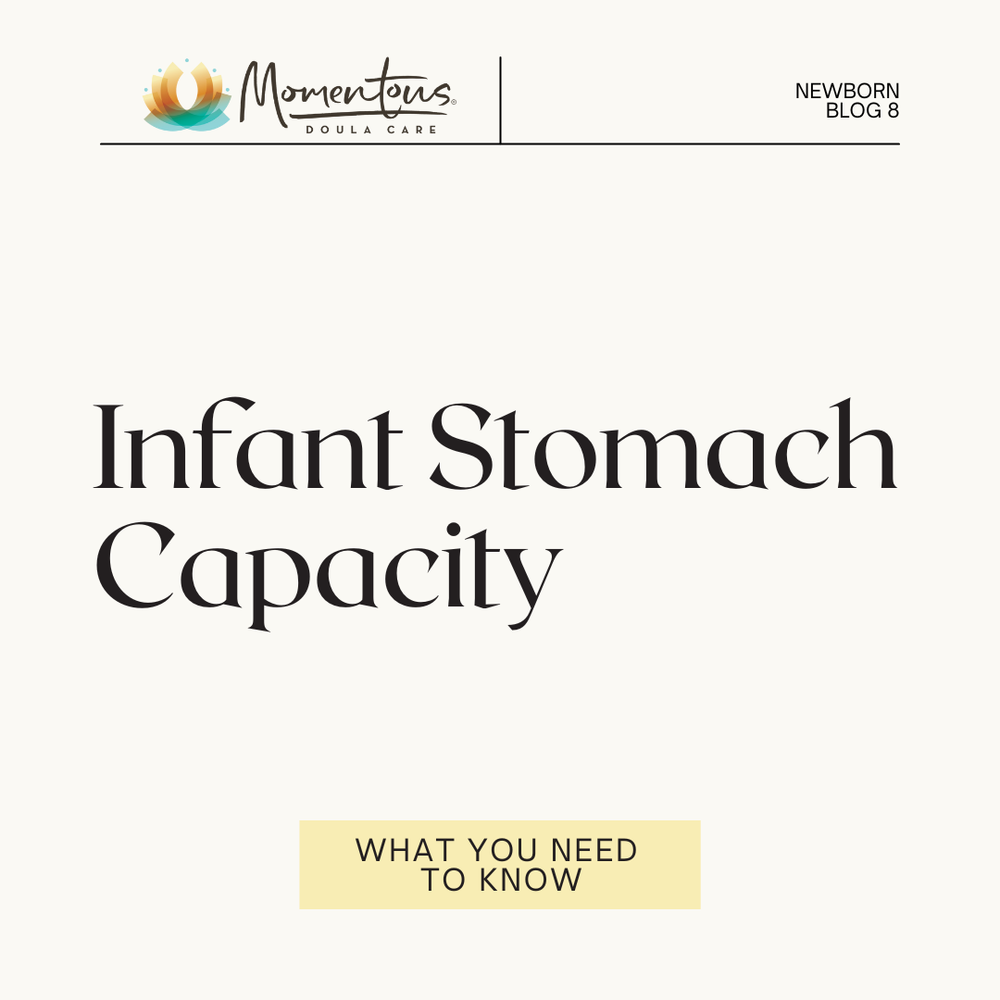 Understanding Infant Stomach Size and Feeding Needs — Momentous ...