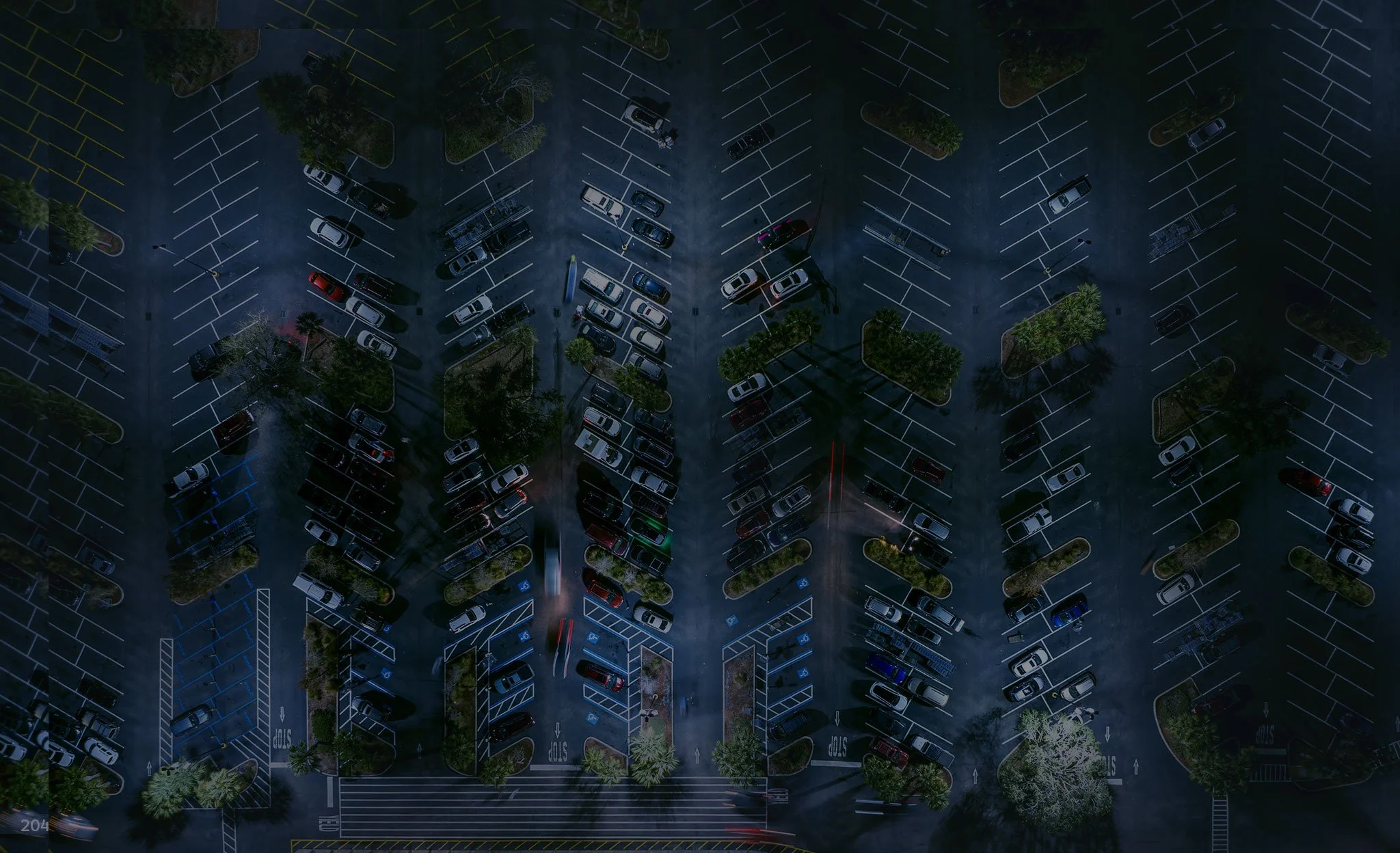 Parking Infraction Help — Parking Support