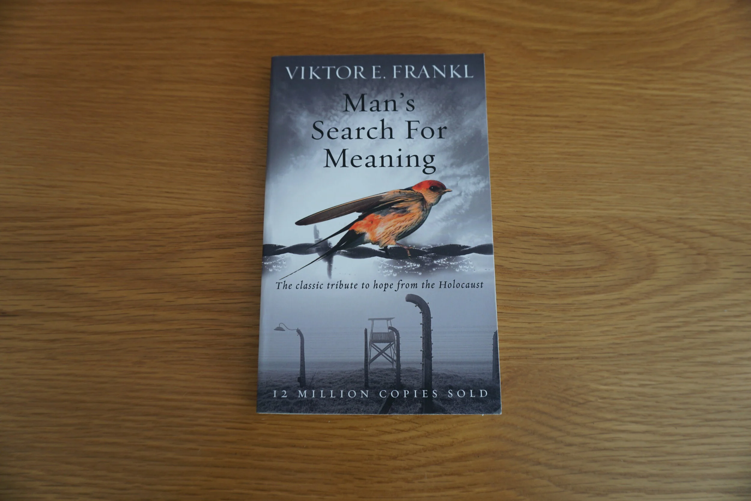 Man s Search For Meaning Book Review CWC Coaching