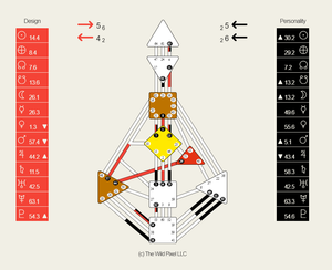 Using Human Design for your Children — The Wild Pixel
