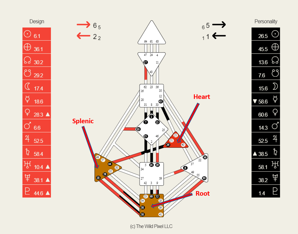 Taylor Swift's Human Design Chart Explained — The Wild Pixel