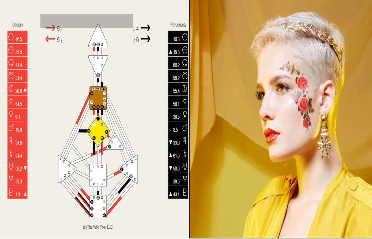 Halsey: 3/5 Manifesting Generator Chart Reading — The Wild Pixel