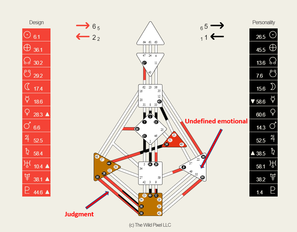 Taylor Swift's Human Design Chart Explained — The Wild Pixel