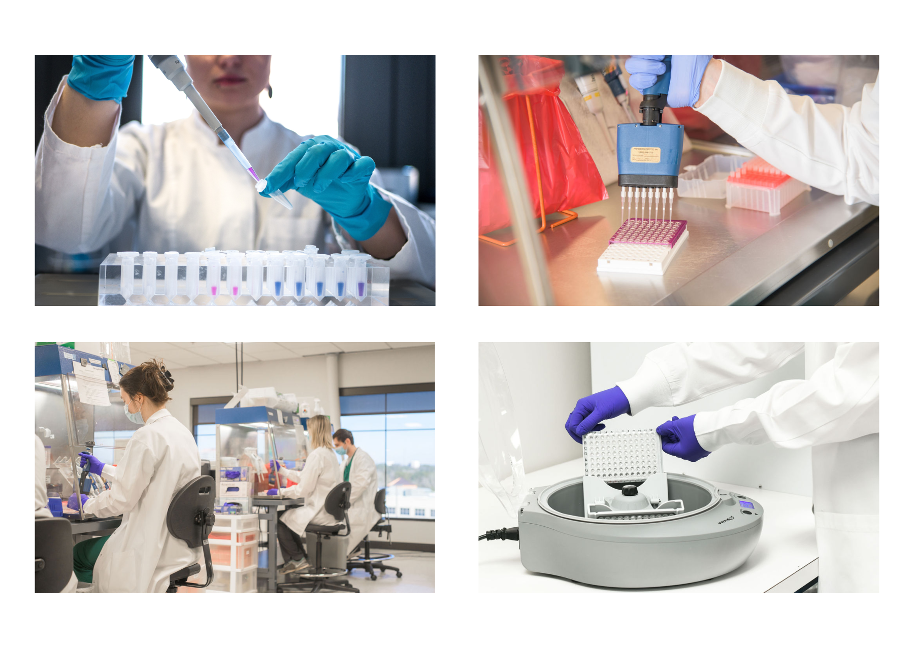 Streamline Scientific — Welcome