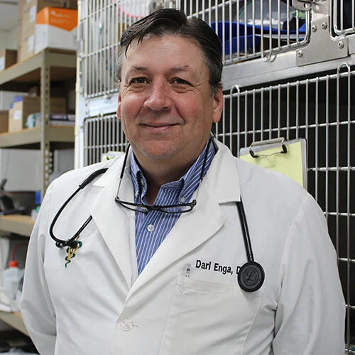 Team — All Creatures