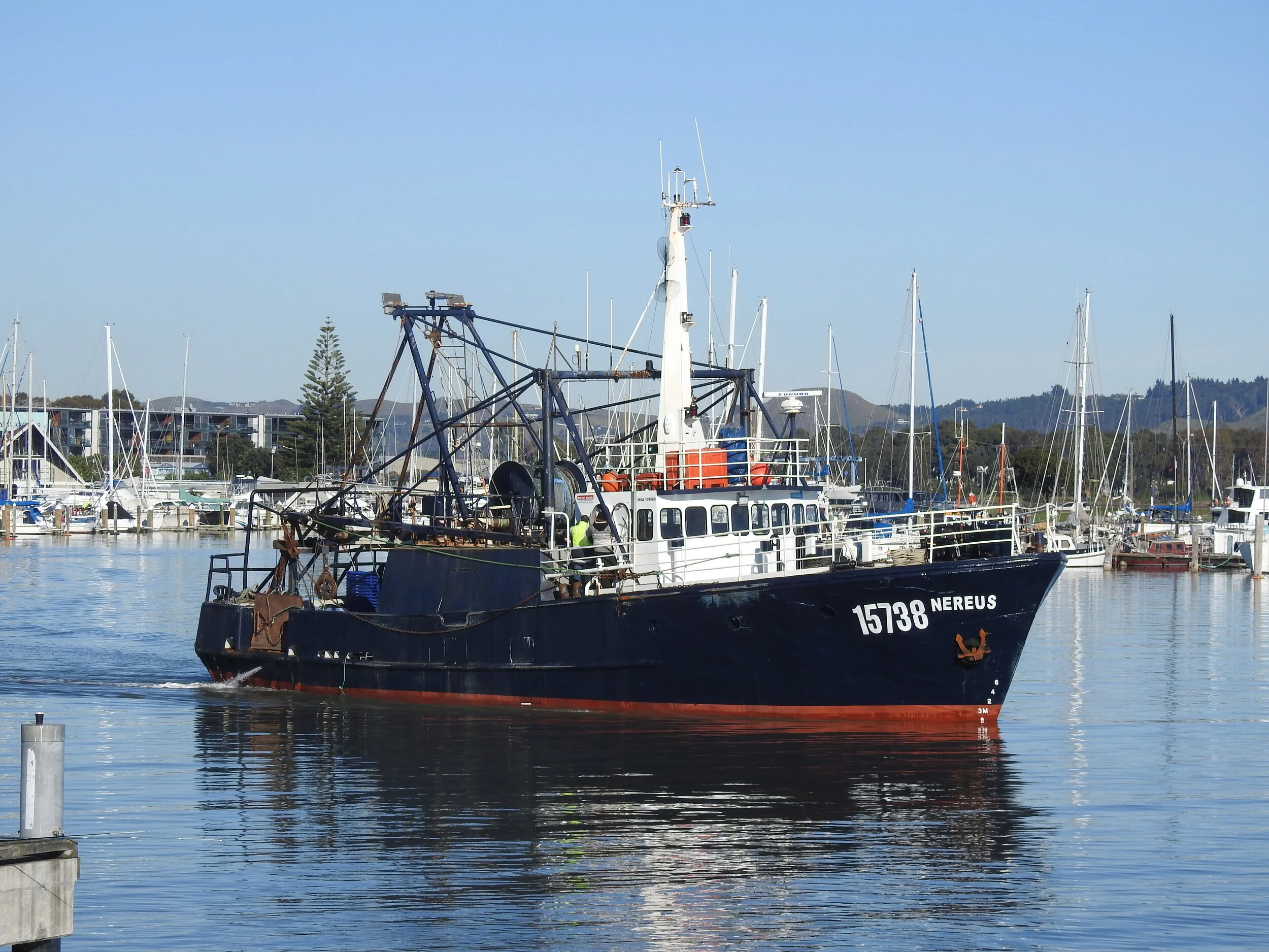 Vessels — Star Fish Supply Limited