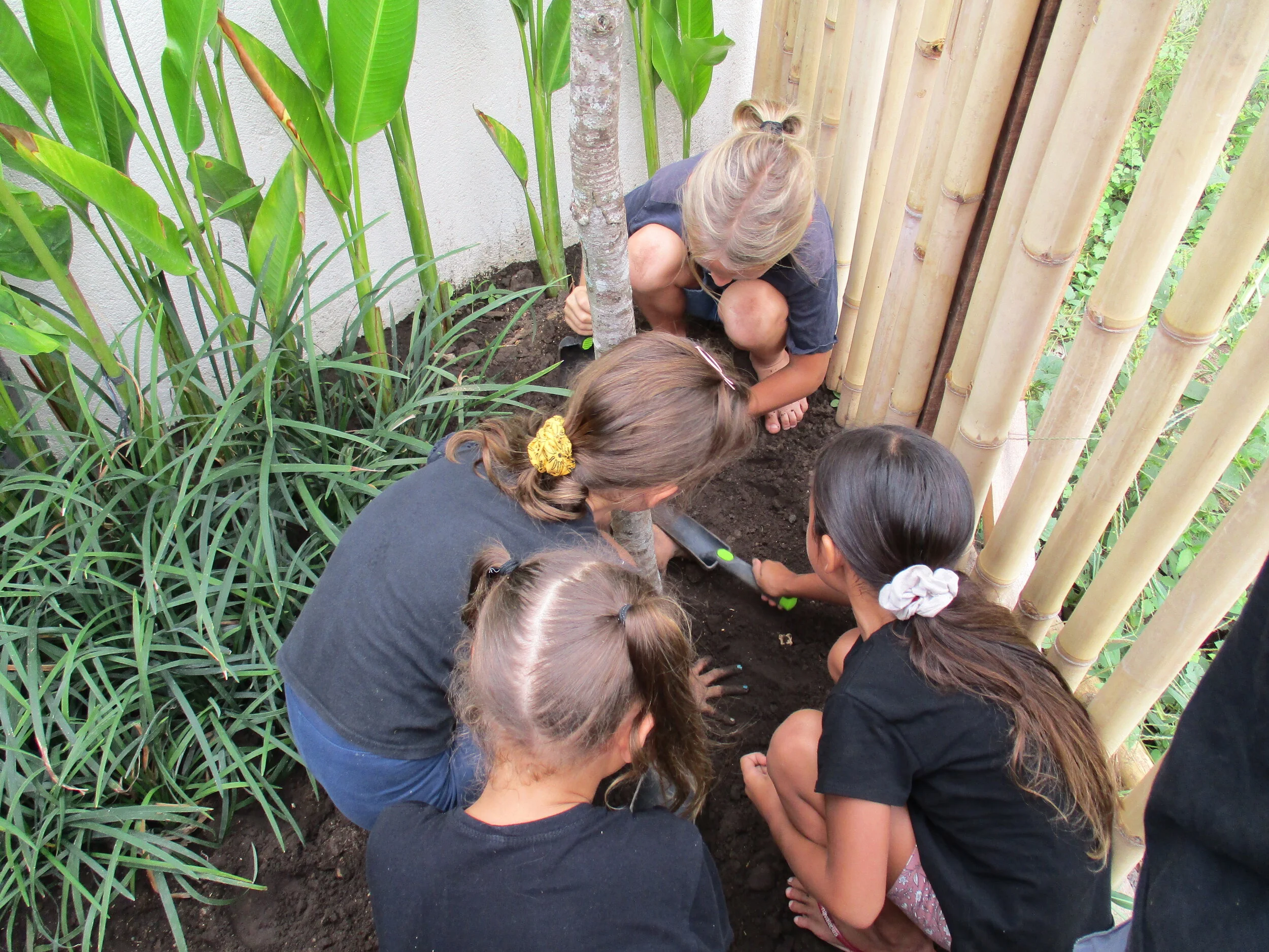 Admissions — Marigold Community Learning