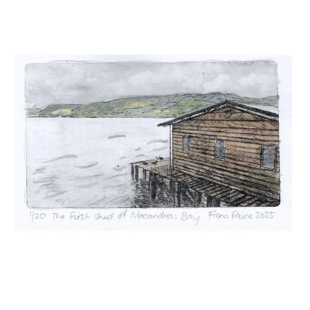 'The First Shed of Macandrew Bay' — Pea Sea Art