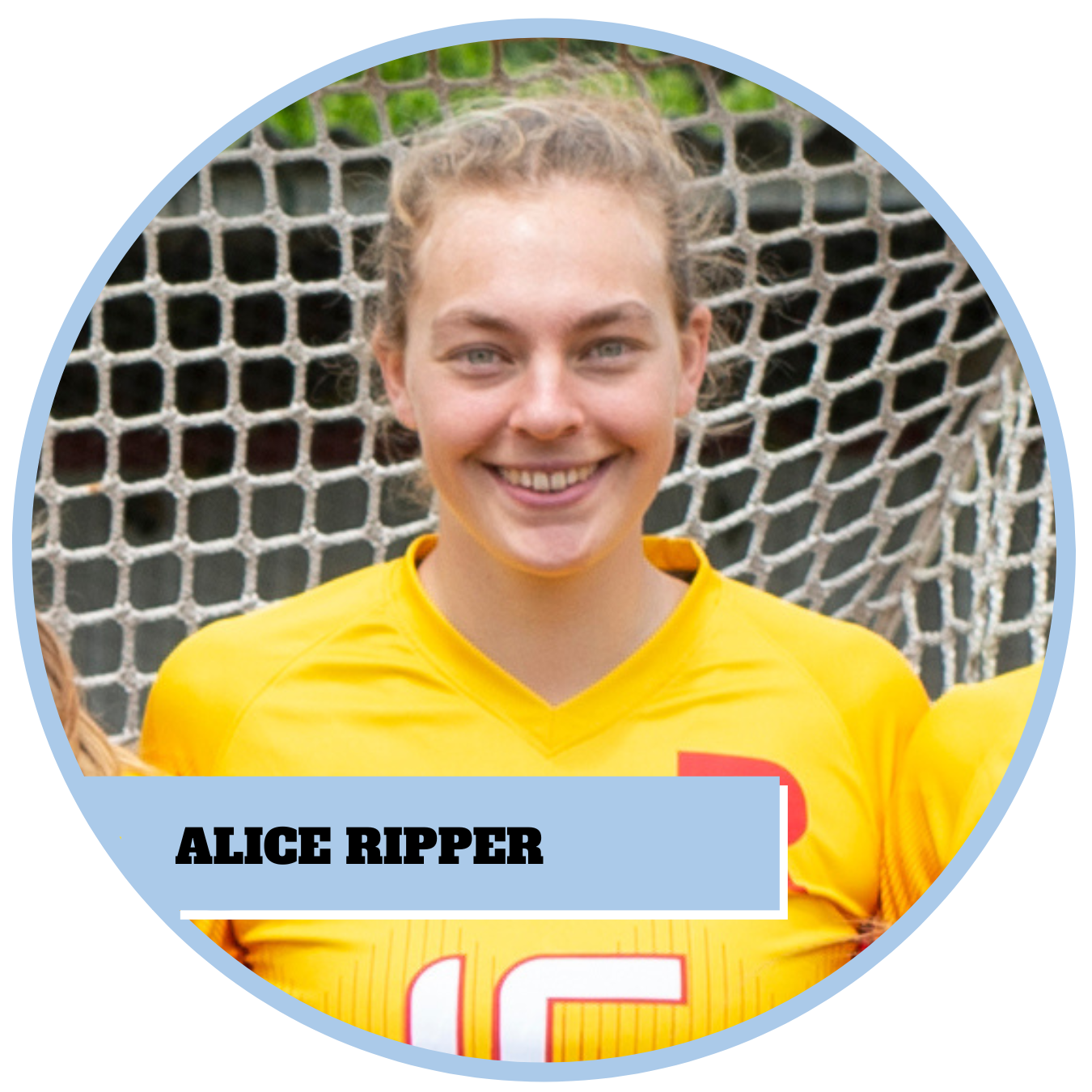Alice Ripper — The Fly