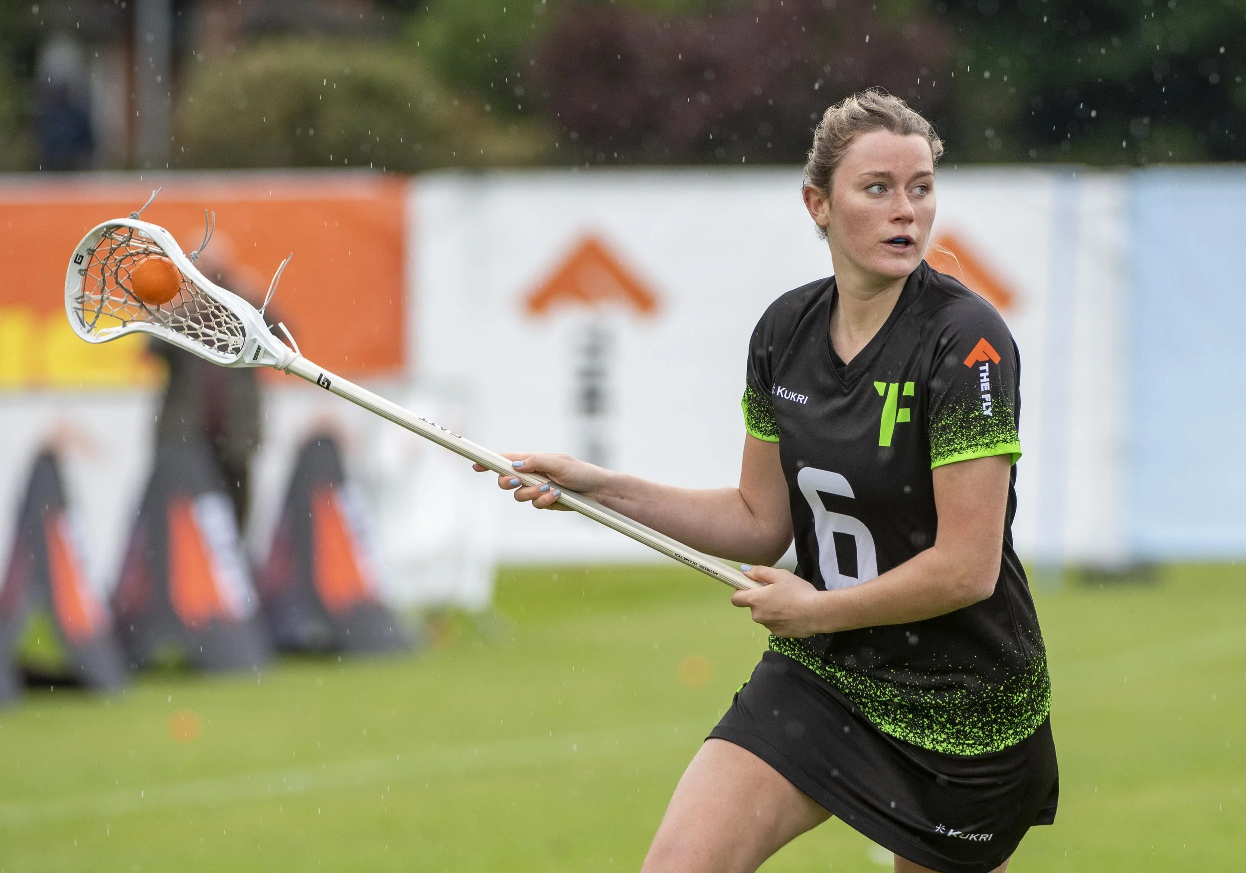 Forge Results — The Fly