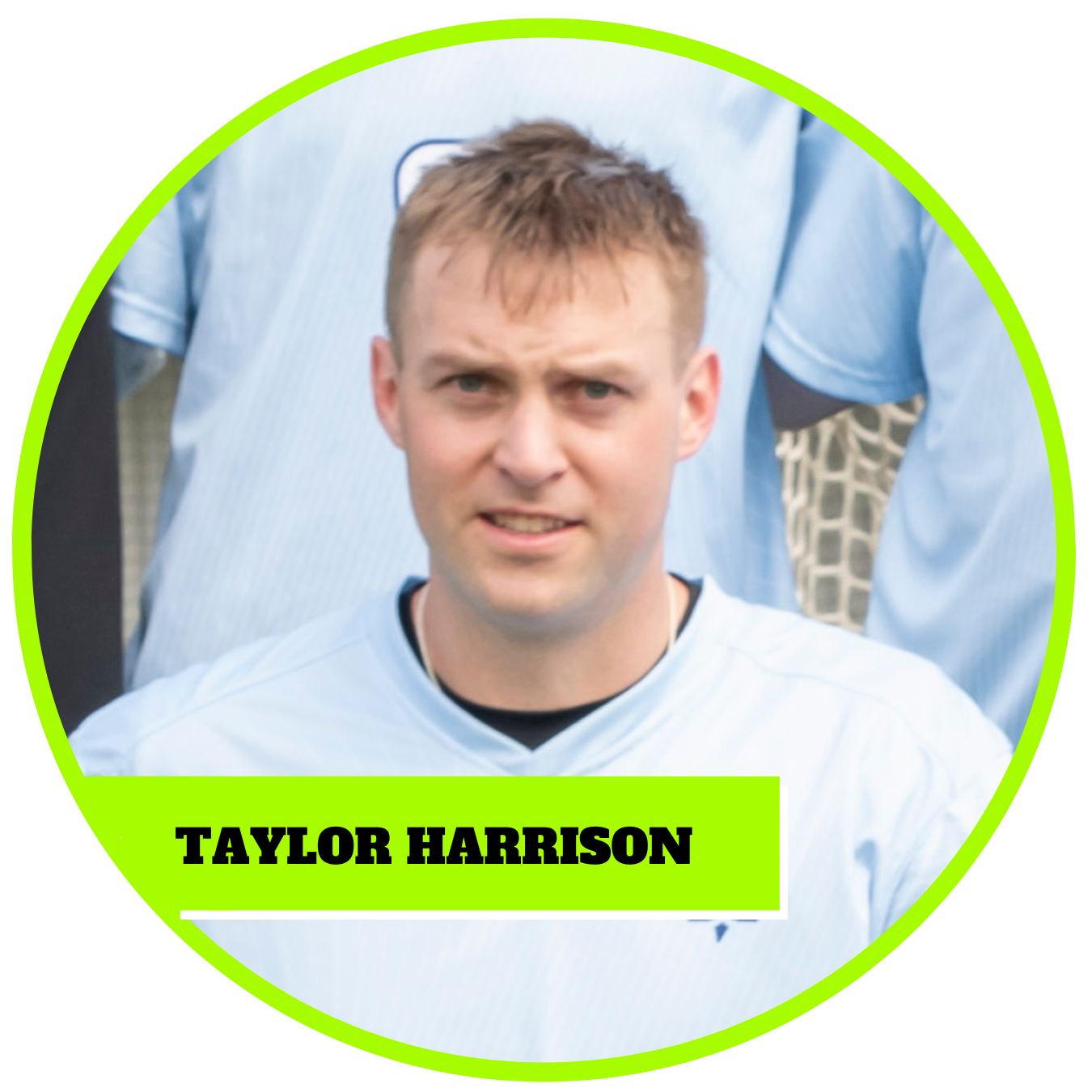 Taylor Harrison — The Fly