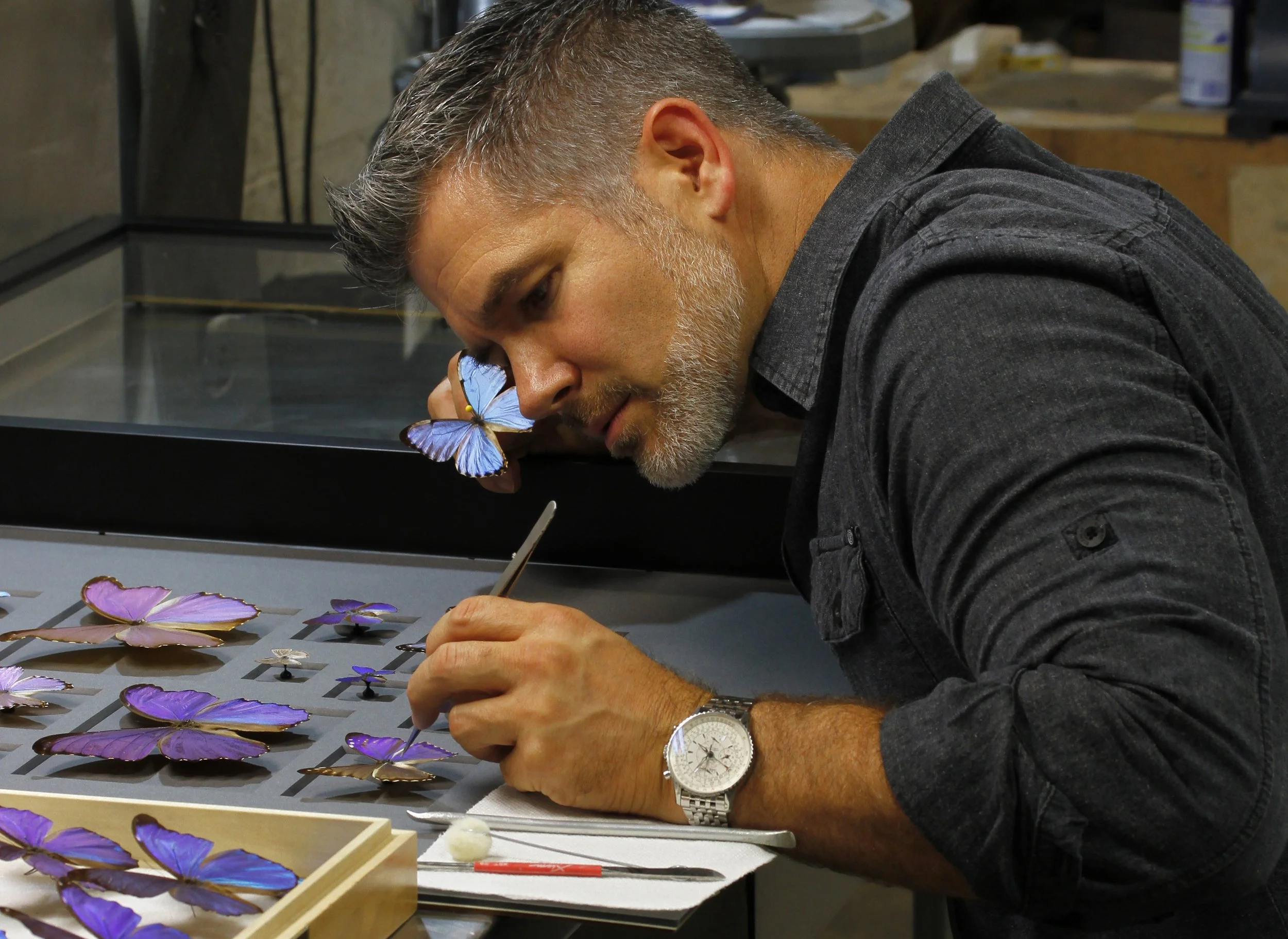Christopher Marley Artist