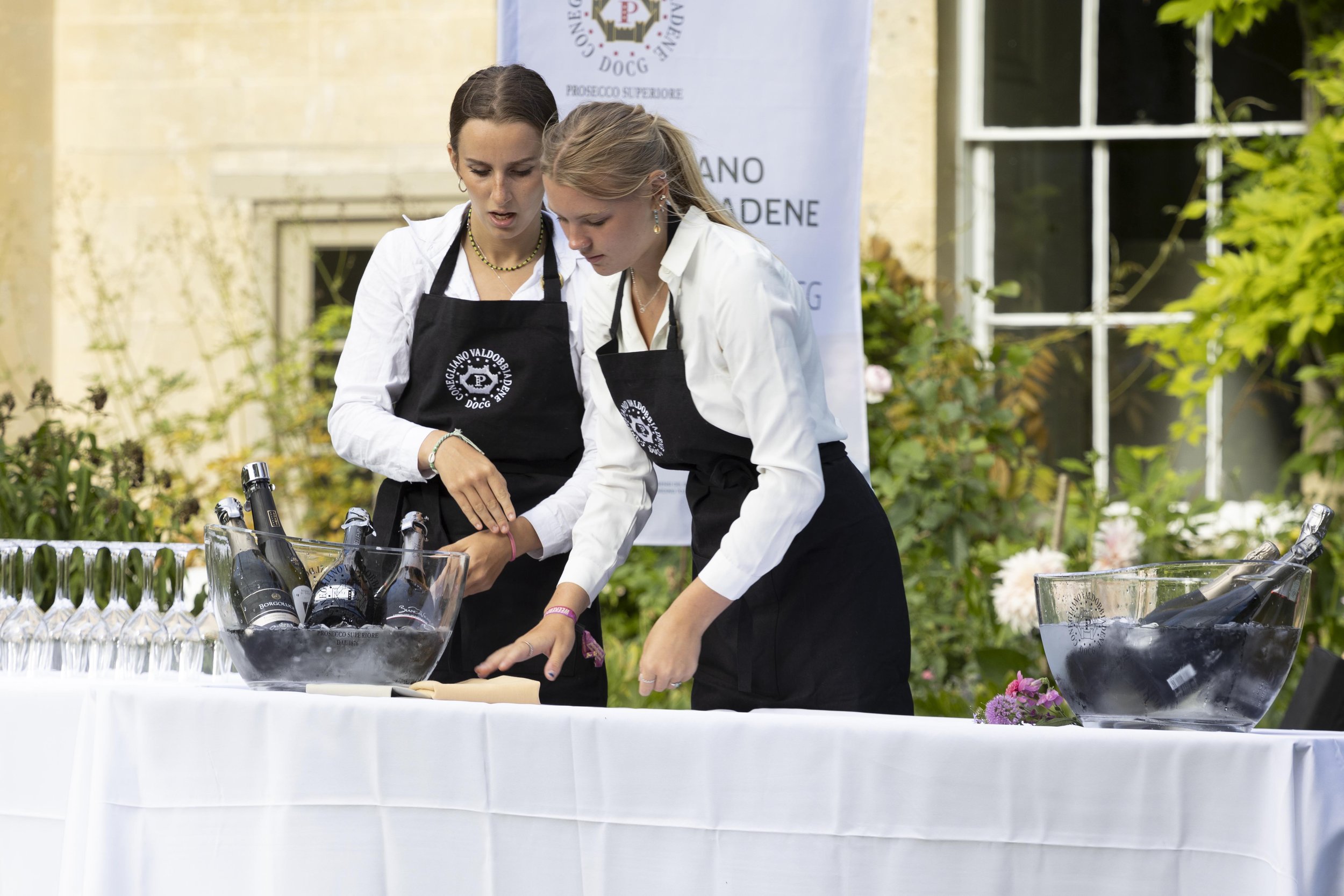 Corporate Support — If Opera