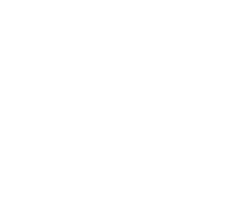Portfolio — ALAM Digital | Branding & Website Design | Creative Brand ...
