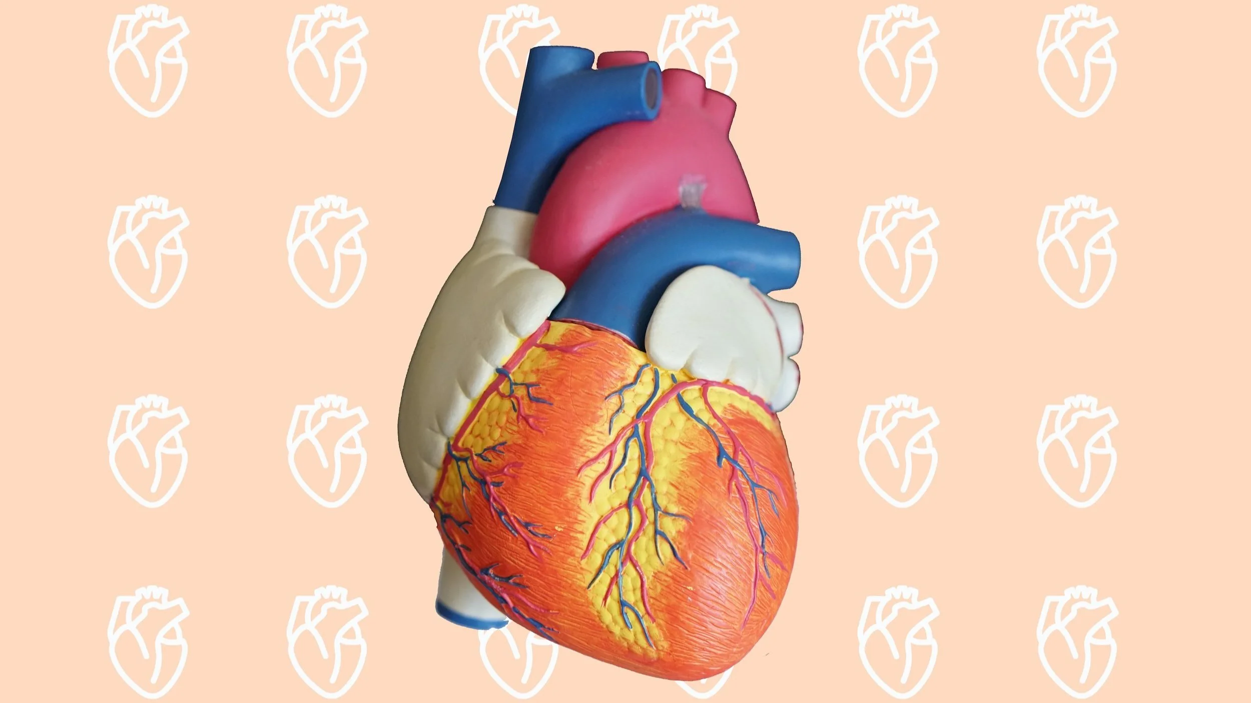 Practice OSCE Station | Peripheral Neurological Exam — OSCE Sense