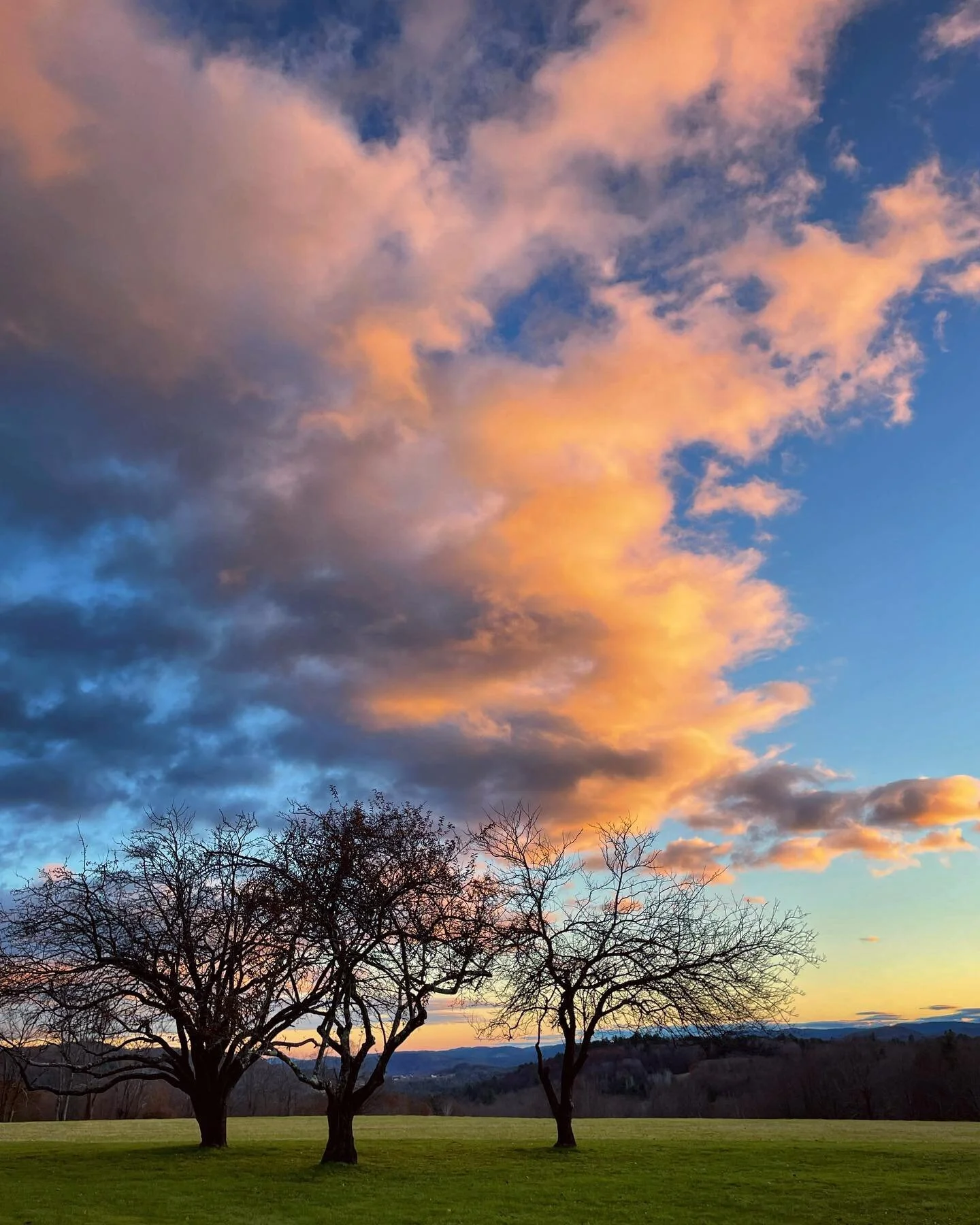 Studio Special | Josh Simpson Glass